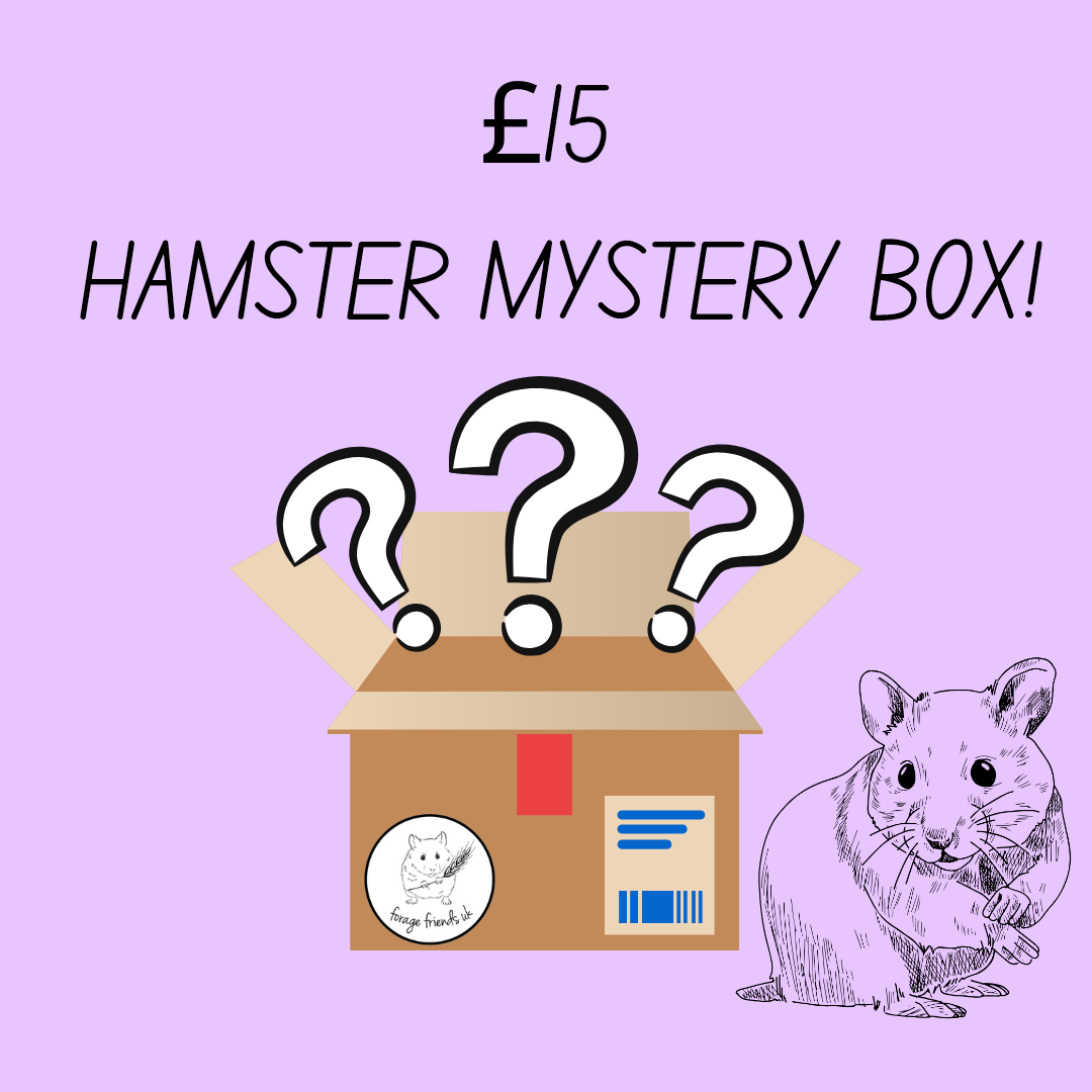 Hamster Mystery box – Foragefriendsuk
